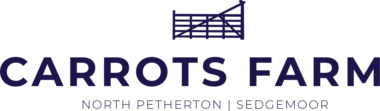 Current Developments - Summerfield